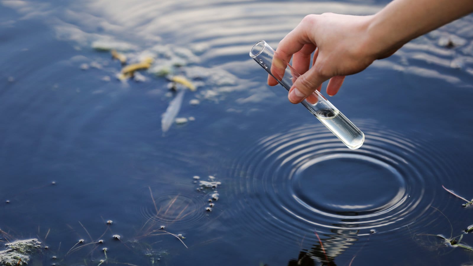 Understanding Water Quality in Henderson, NV | Plumbers in Henderson ...